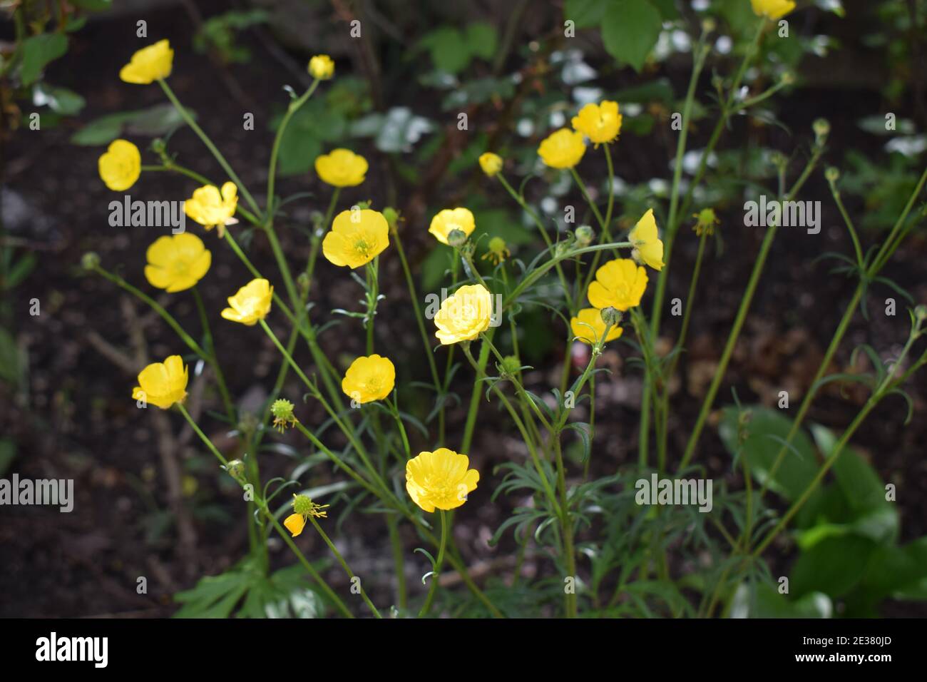 Krivoi rog plant hi-res stock photography and images - Alamy