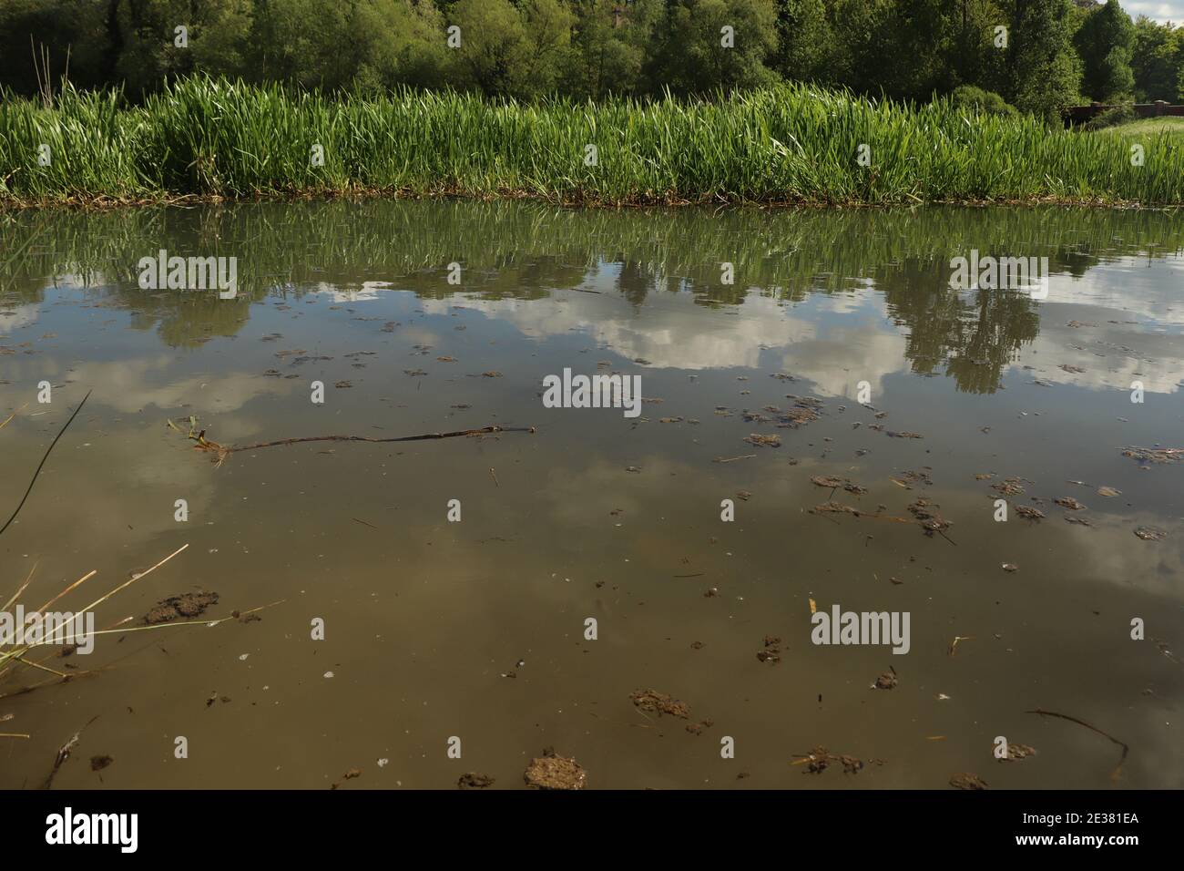 Ground level close up of mud and water sloshing down a stream Stock ...