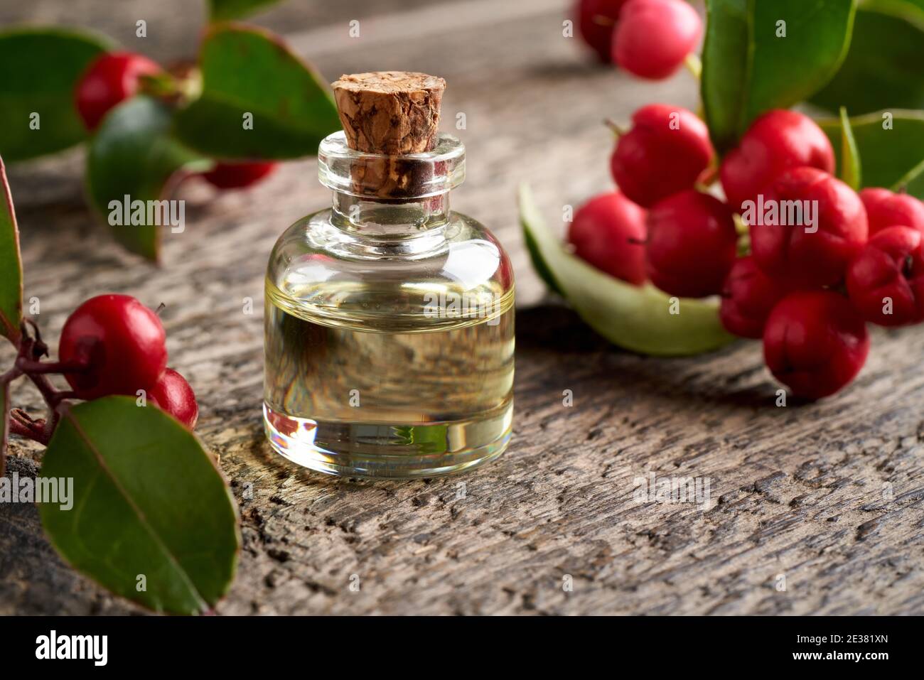 Wintergreen essential oil hi-res stock photography and images - Alamy