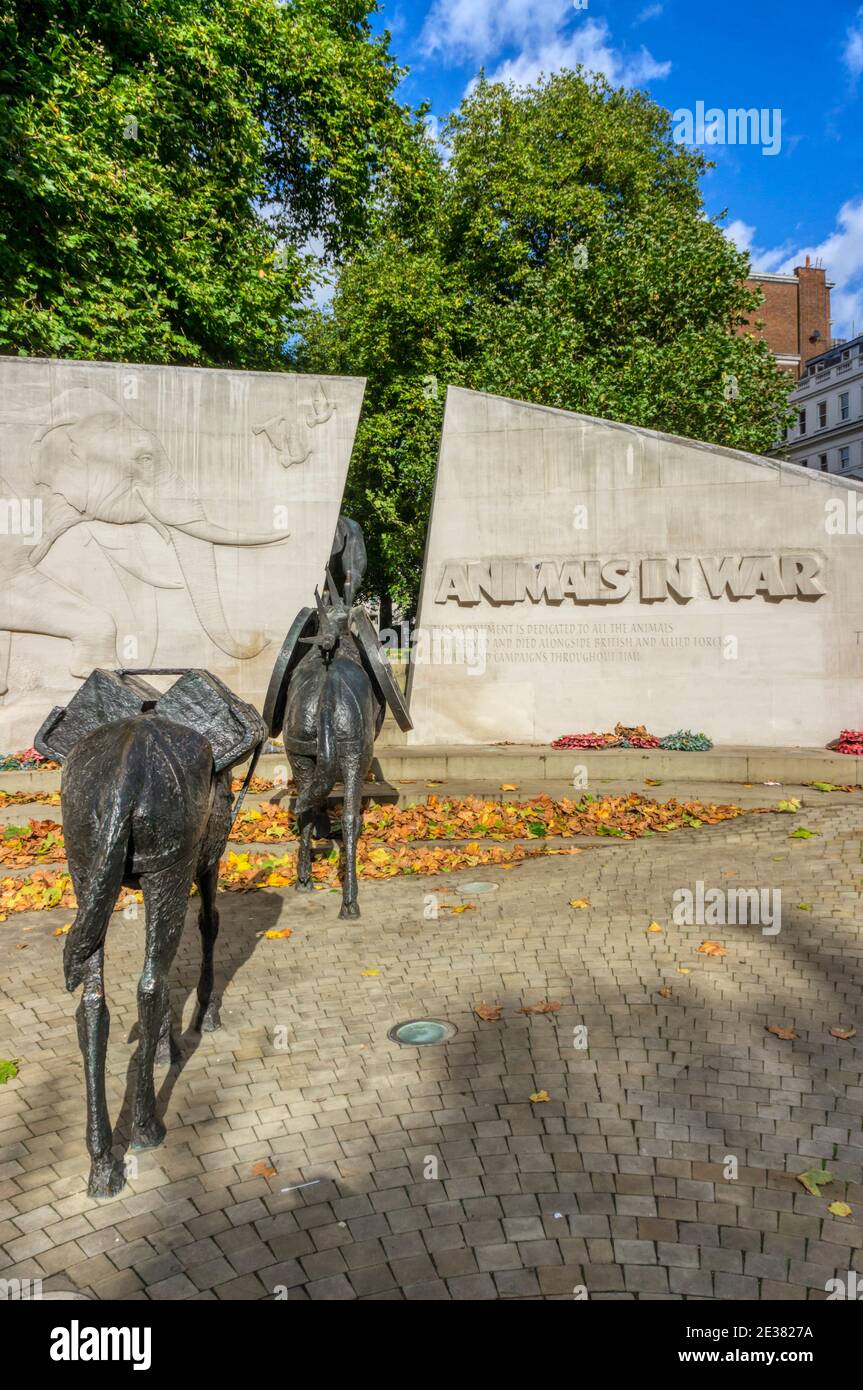 The Animals in War Memorial in Hyde Park, London Stock Photo - Alamy
