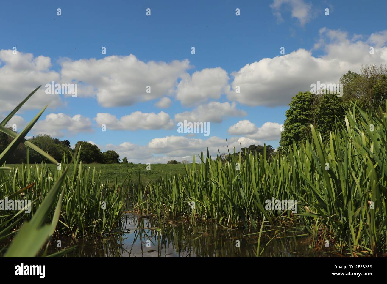 Ground level close up of mud and water sloshing down a stream Stock ...