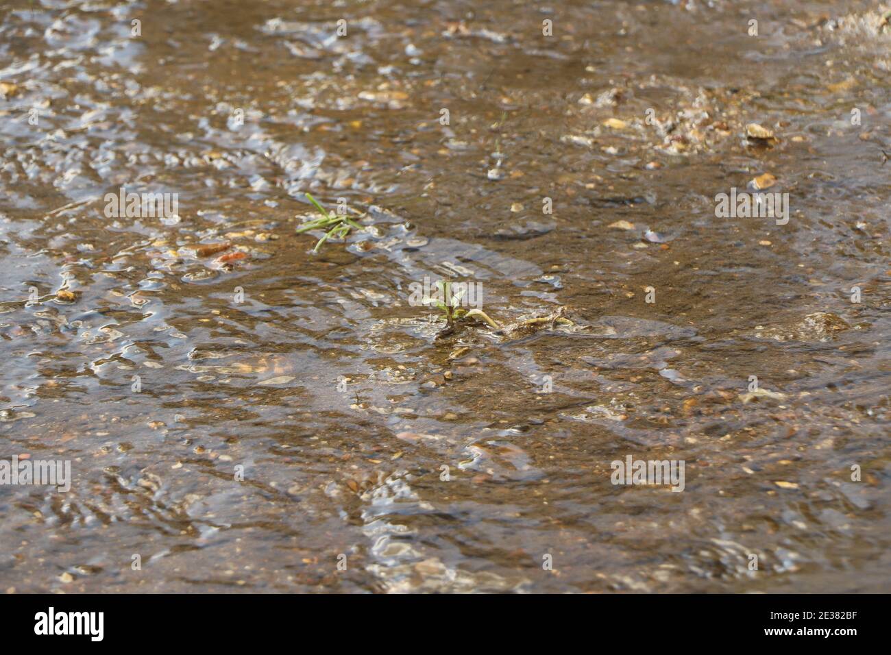 Ground level close up of mud and water sloshing down a stream Stock ...