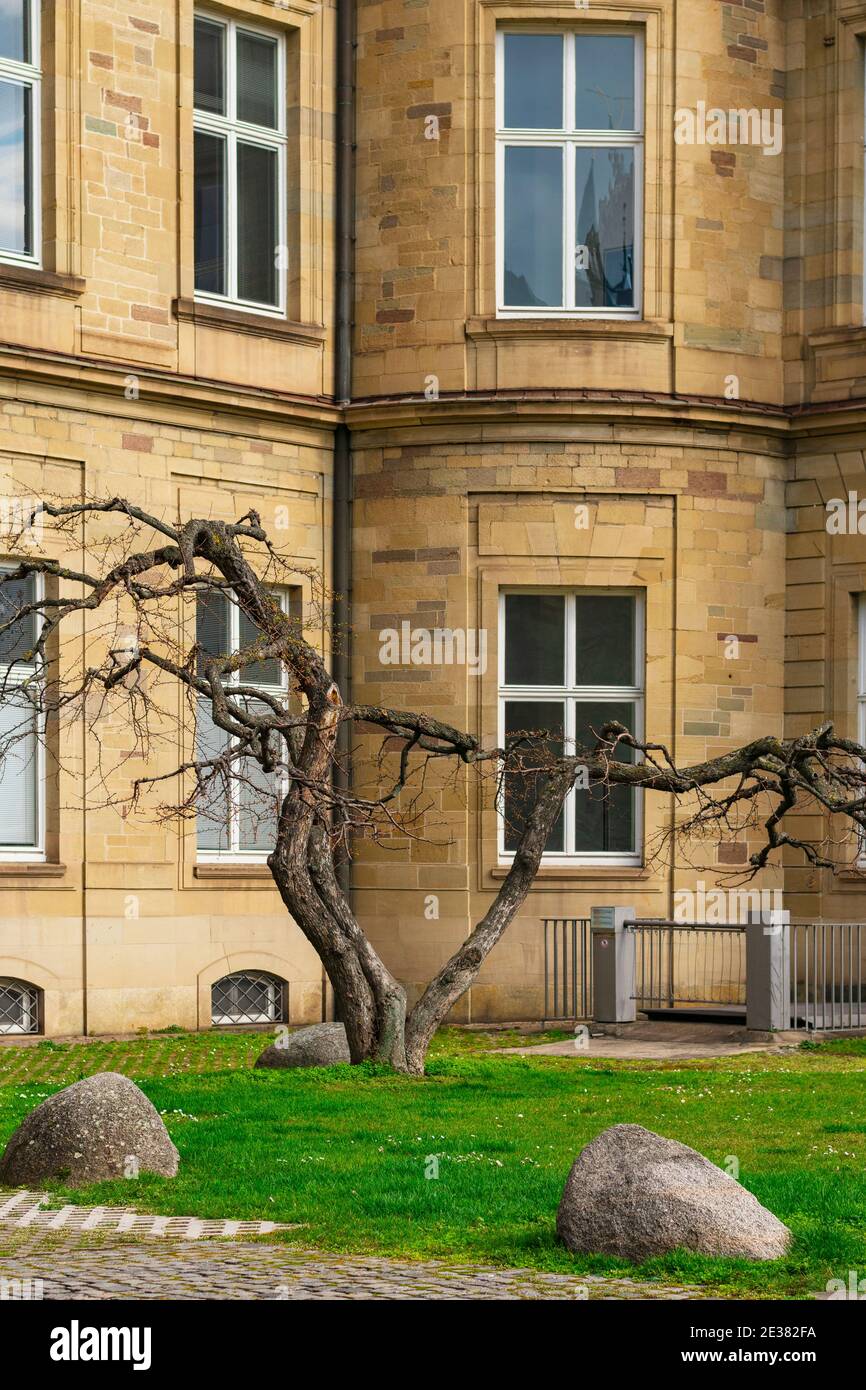 7 March 2020, Stuttgart, Germany - New Castle (Neues Schloss) on Caste ...