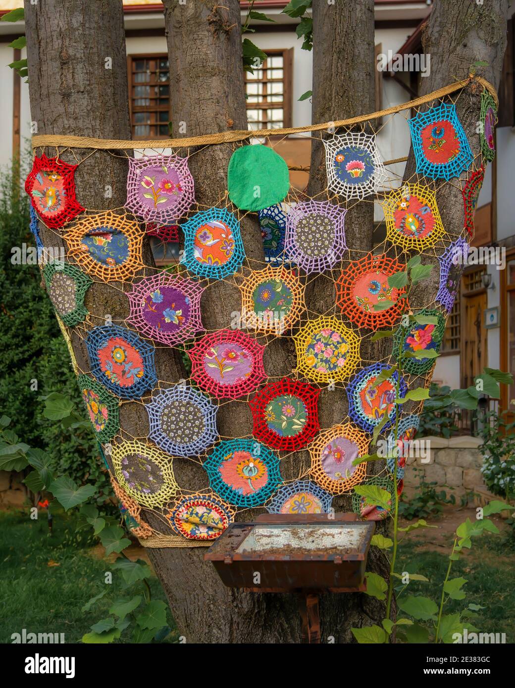 Braided trunk hi-res stock photography and images - Alamy