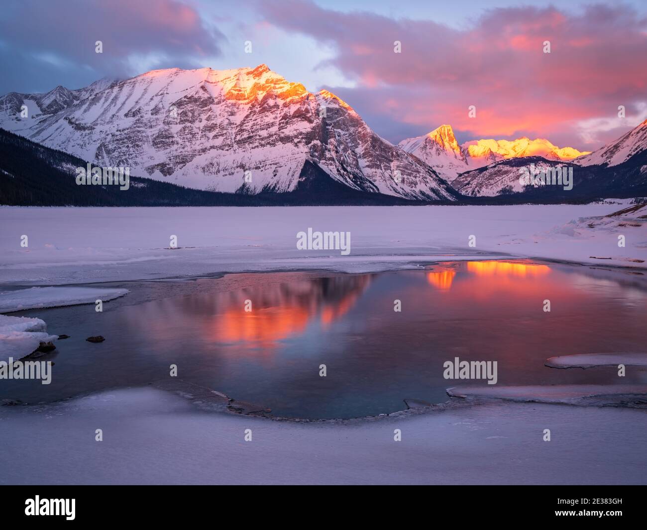 Evergreen calgary hi-res stock photography and images - Alamy