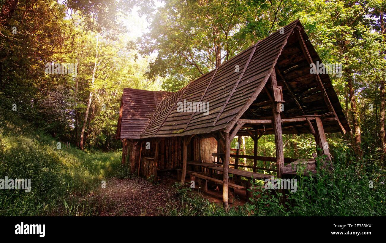Wooden cabin hidden in the middle of the forest in high summer Stock ...
