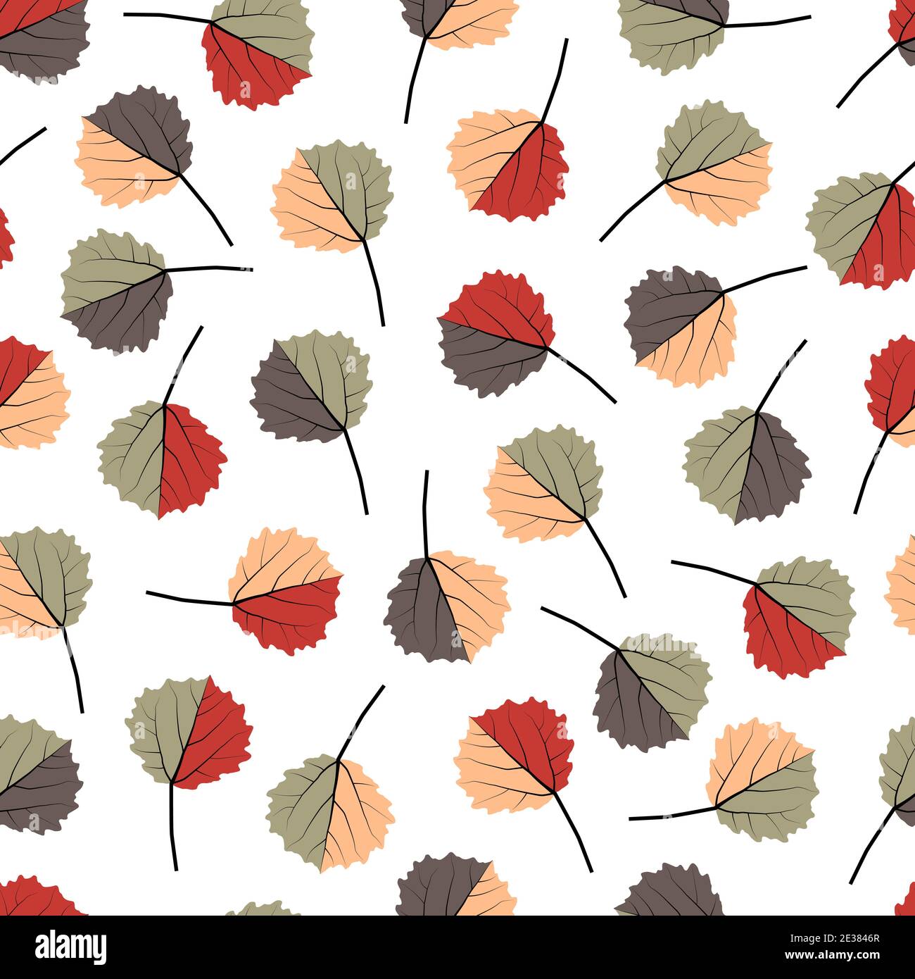 Aspen botanical illustration hi-res stock photography and images - Alamy