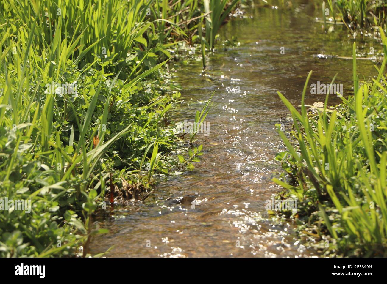 Ground water flow hi-res stock photography and images - Alamy