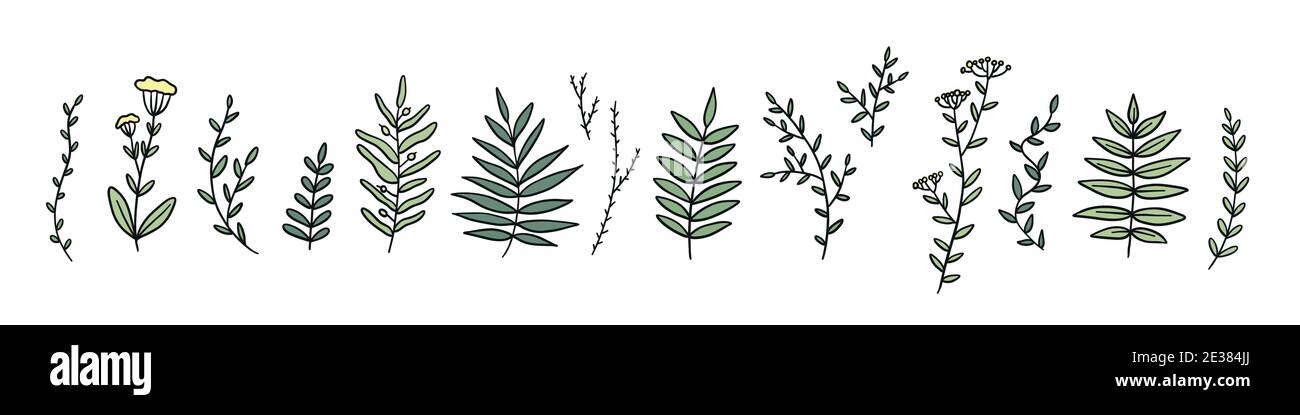 Set of hand drawn line twigs. Stock vector illustration isolated Stock ...