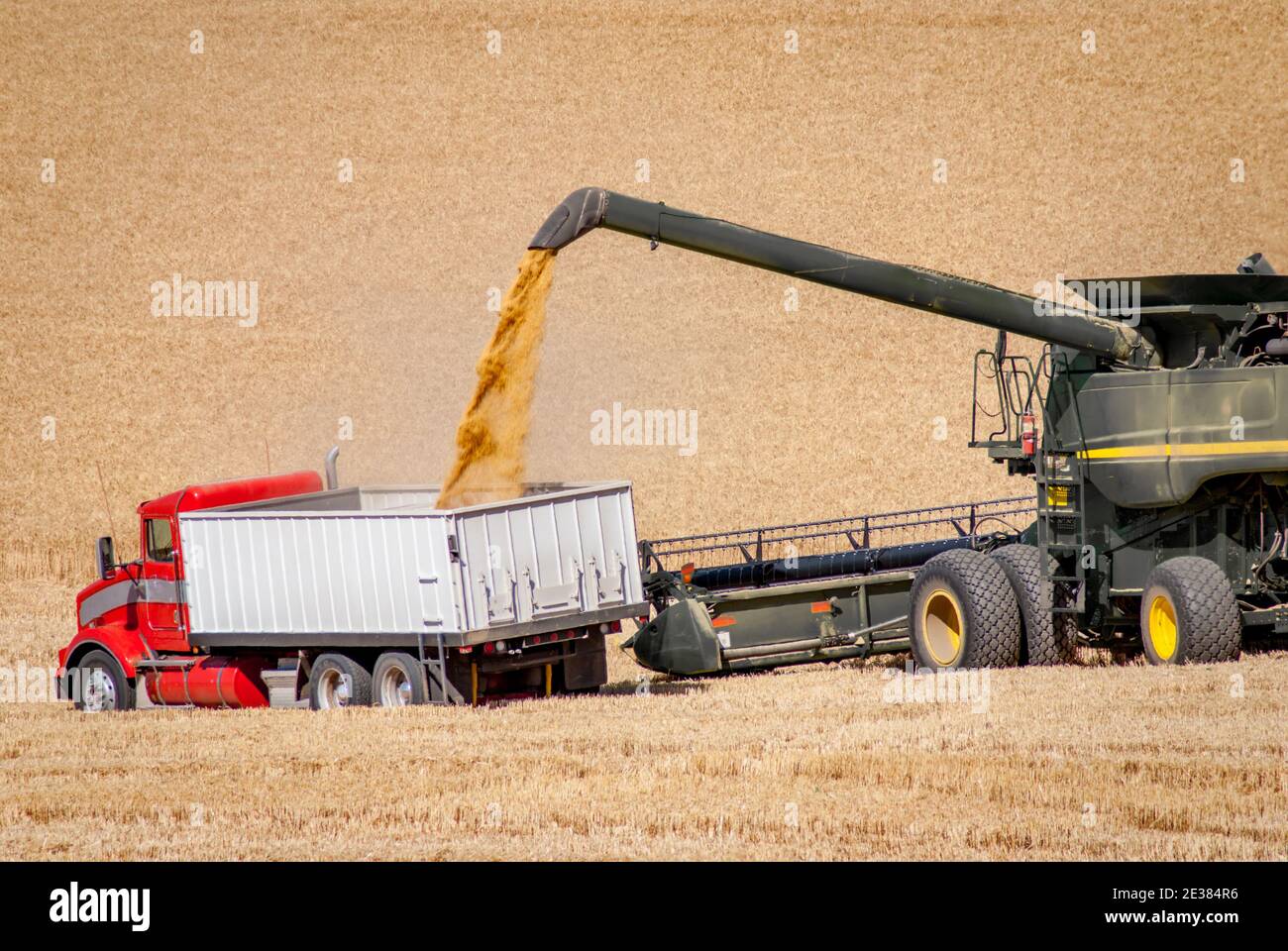 Wheat trucks hi-res stock photography and images - Alamy