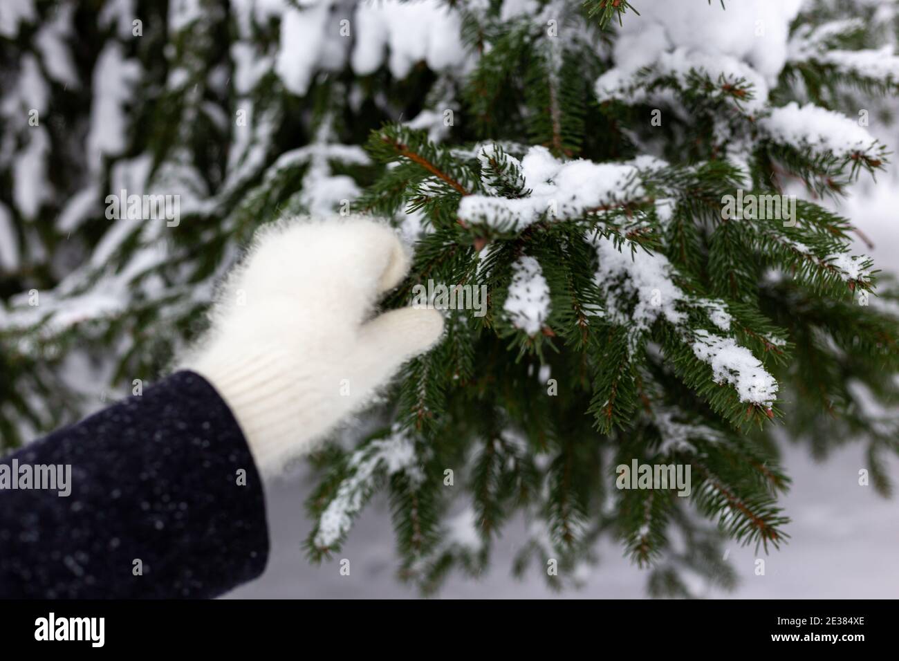 Hand in mitten touching hi-res stock photography and images - Alamy