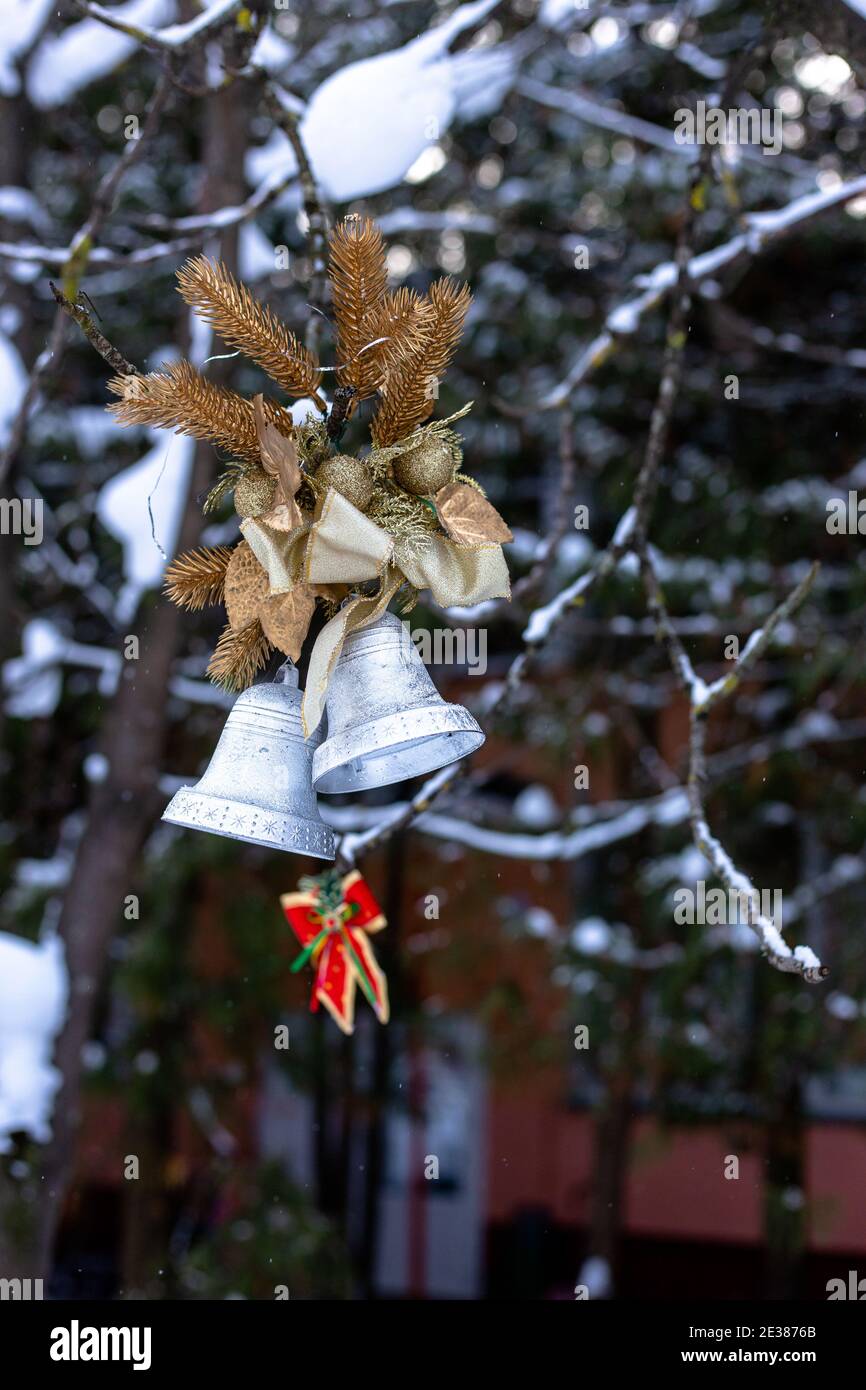 Christmas bells hanging on a tree branch Stock Photo - Alamy