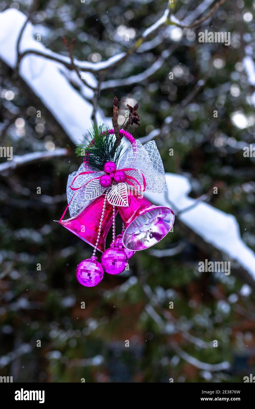 Christmas bells hanging on a tree branch Stock Photo - Alamy