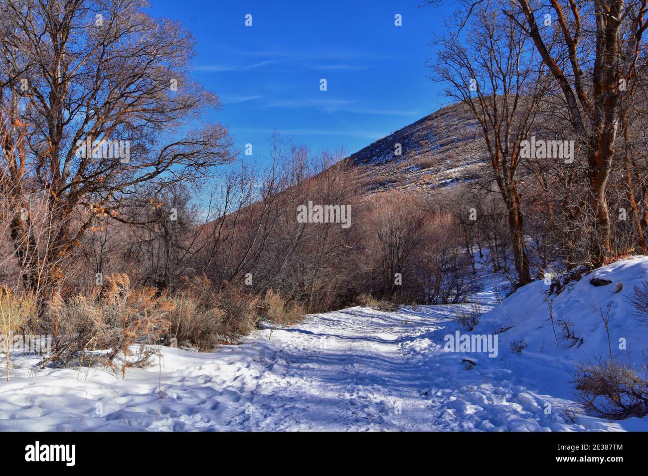 Winter snow mountain hiking trail views Yellow Fork Canyon County Park ...