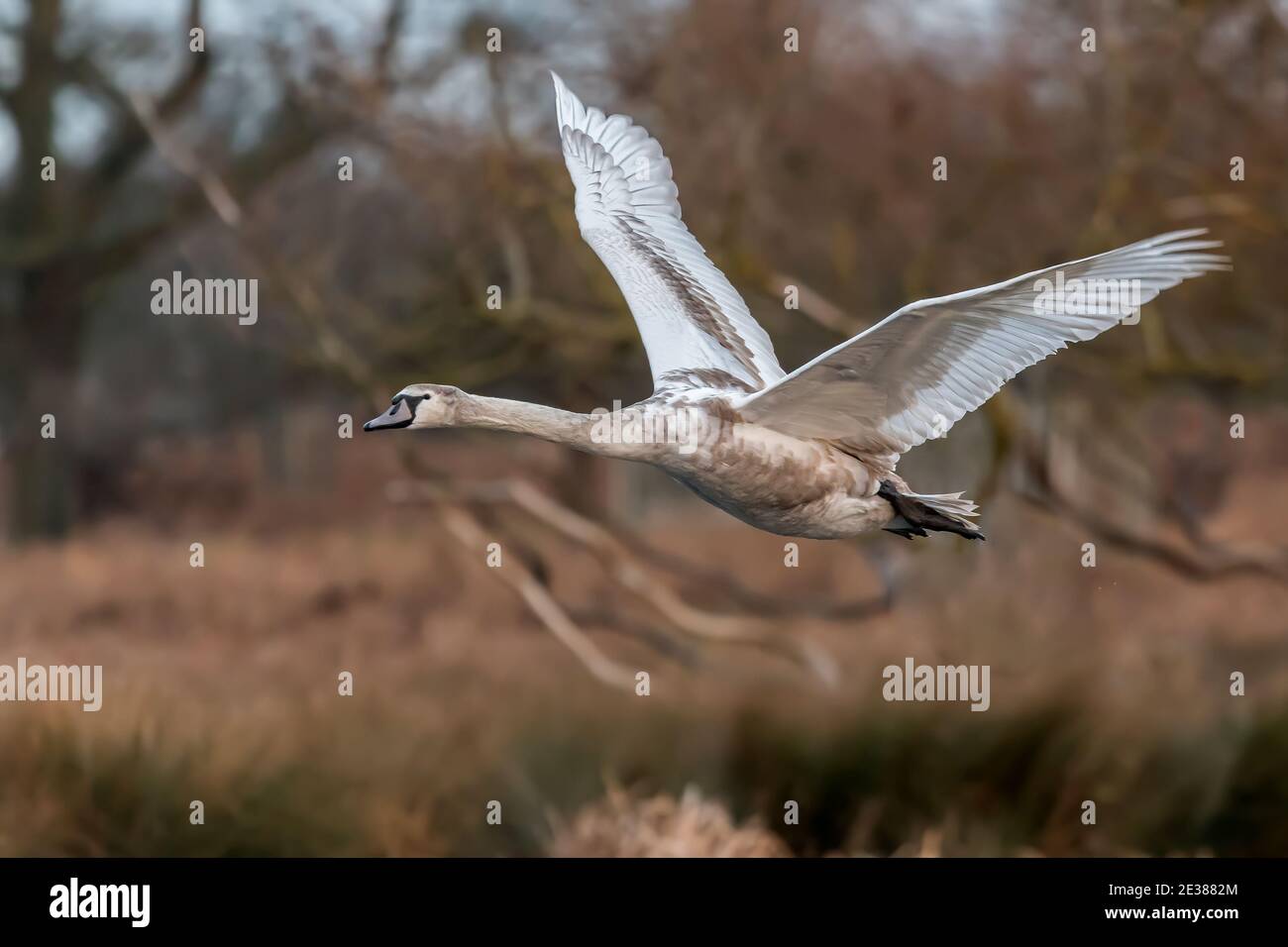 Clean enviourment hi-res stock photography and images - Alamy