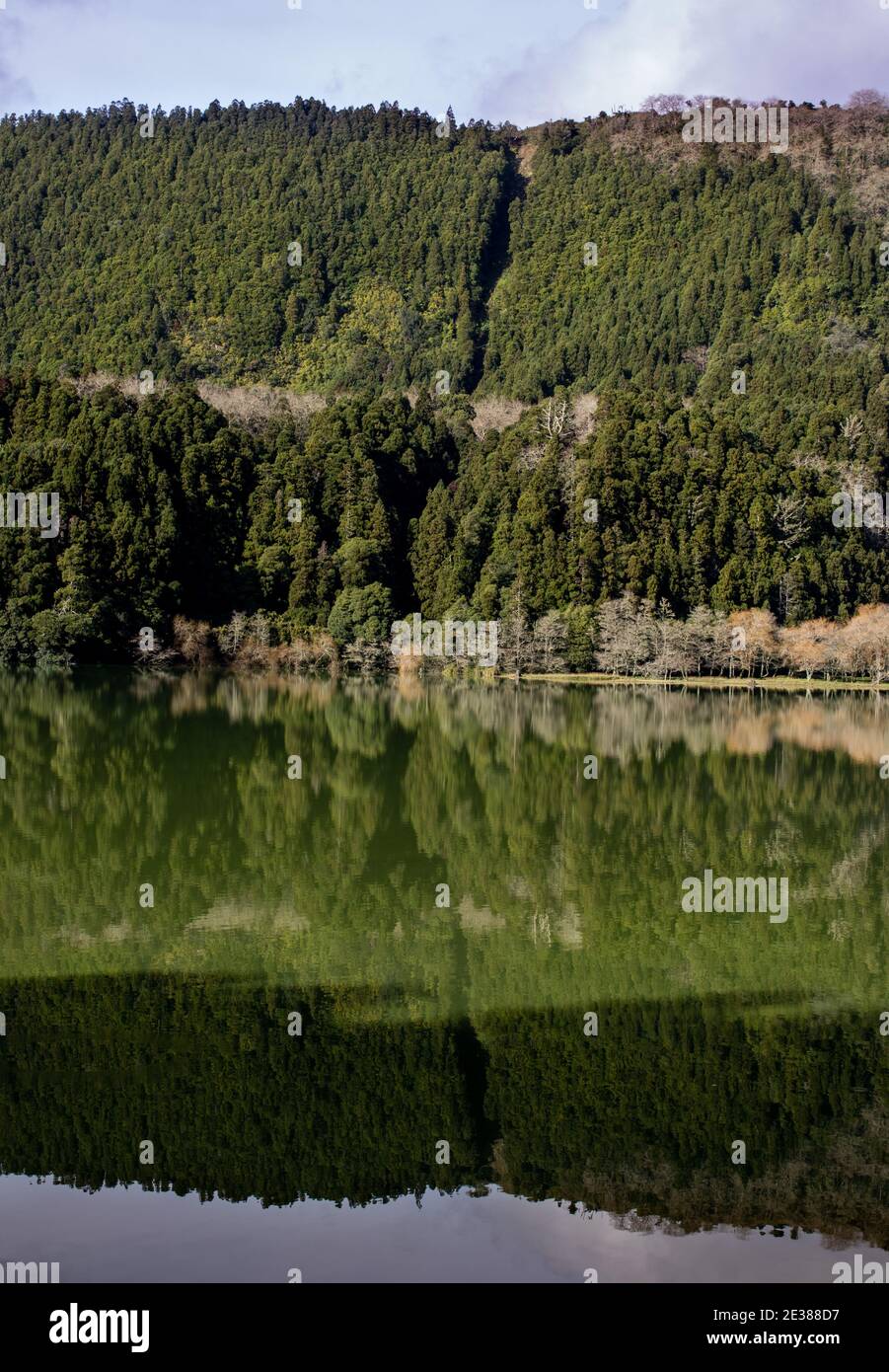 Furnas lake with reflection of trees in water, close to hot springs ...