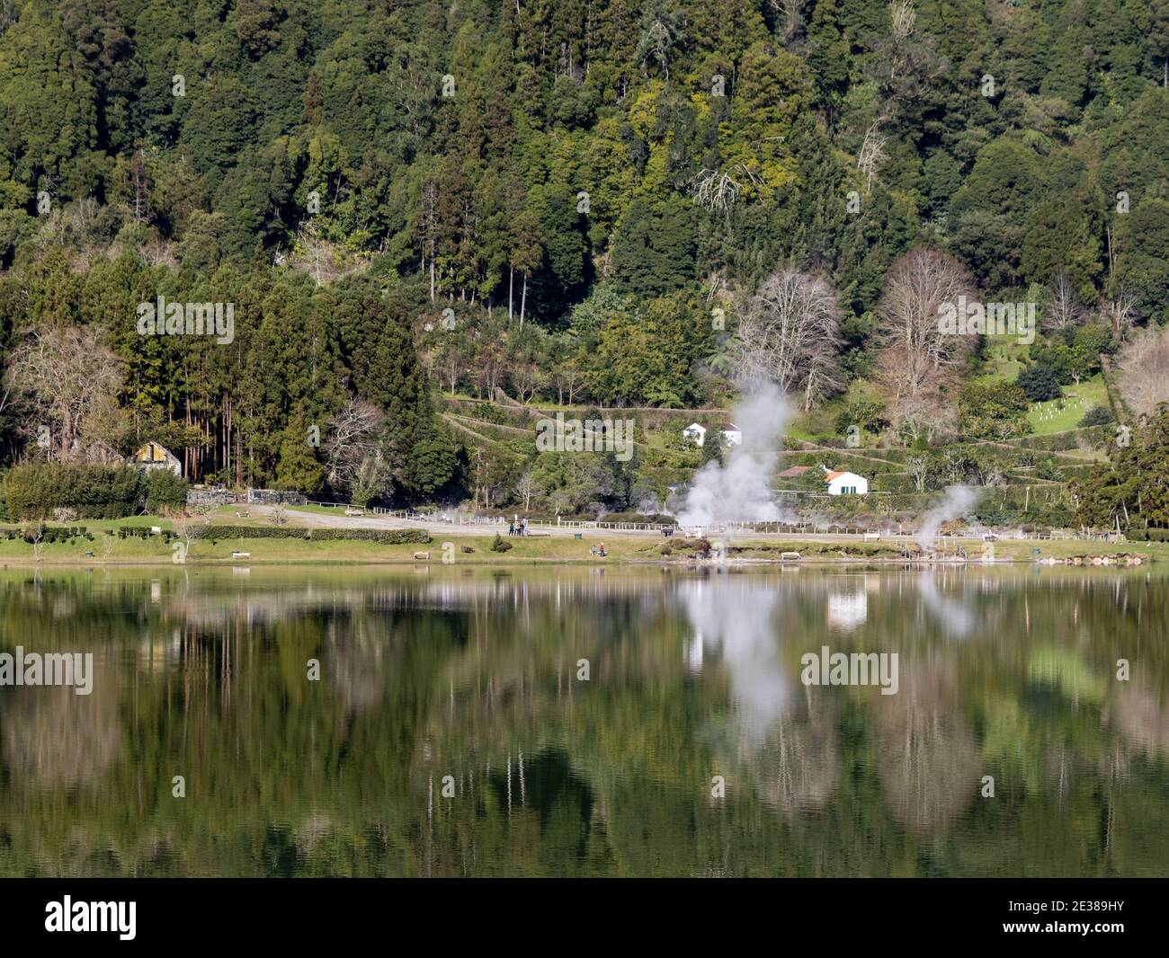Furnas lake with reflection of trees in water, close to hot springs ...