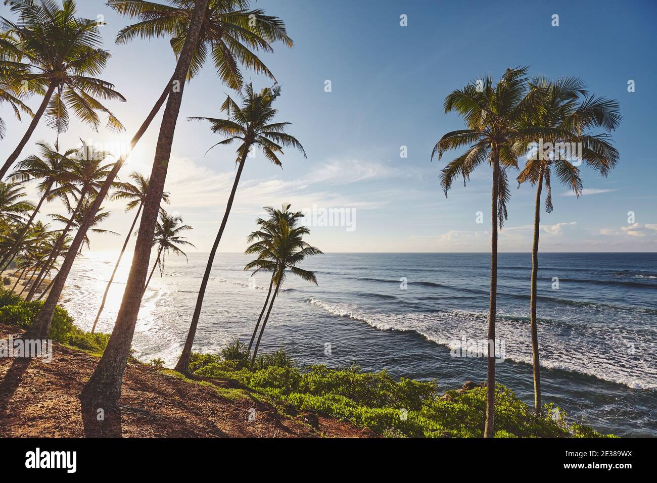 Beautiful sunset beach trees hi-res stock photography and images - Alamy