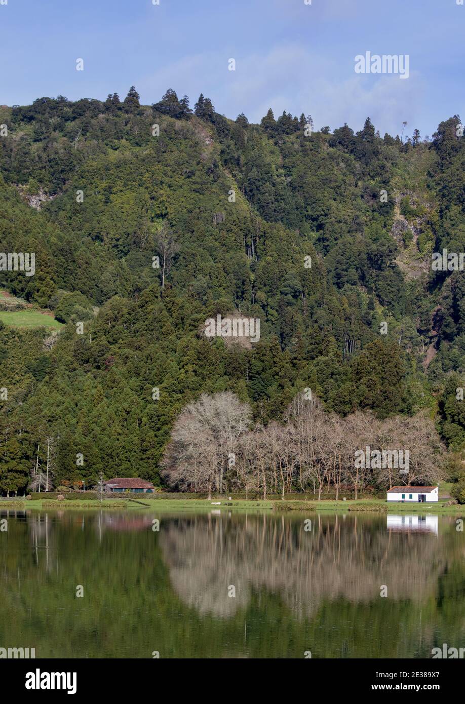Furnas lake with reflection of trees in water, close to hot springs ...