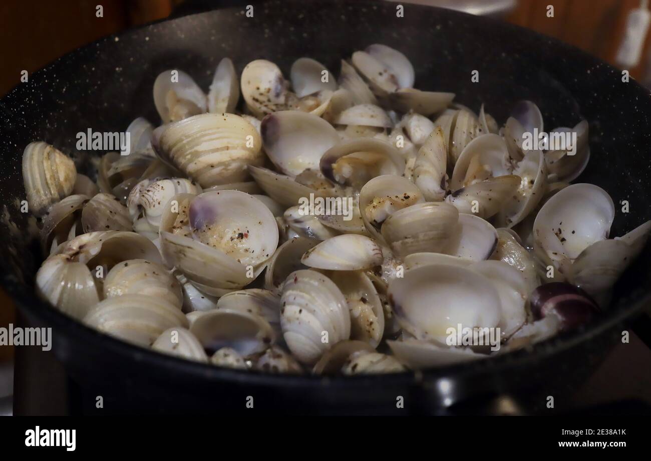 White mussels cooking in steaming water Stock Photo - Alamy
