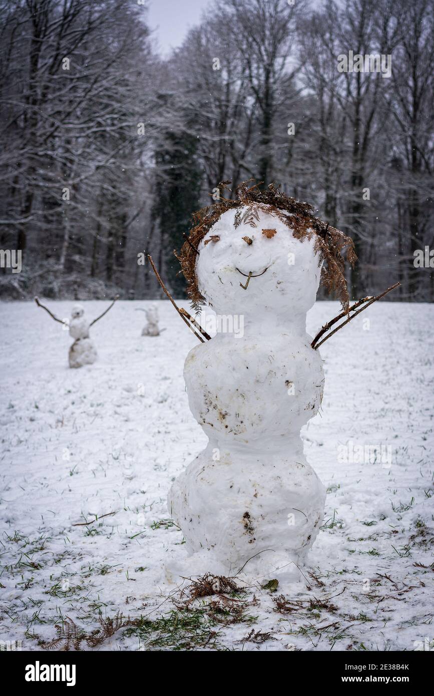 Snowman in the forest hi-res stock photography and images - Alamy