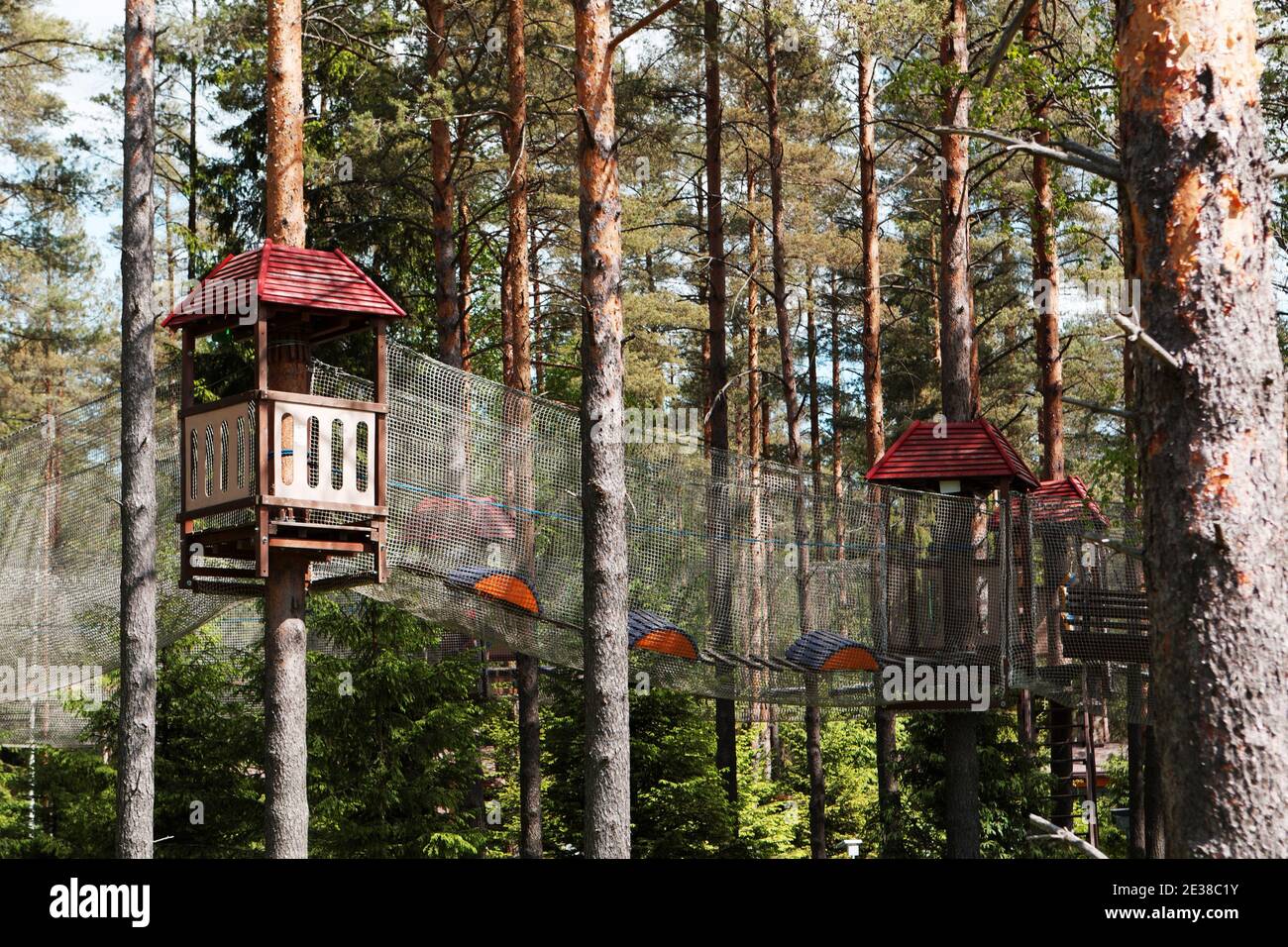 Adventure tree hi-res stock photography and images - Alamy