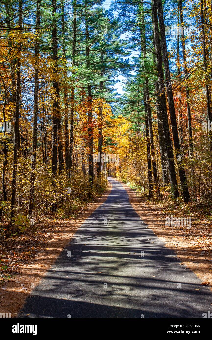 Colorful, Wisconsin, autumn trees in October during the morning ...