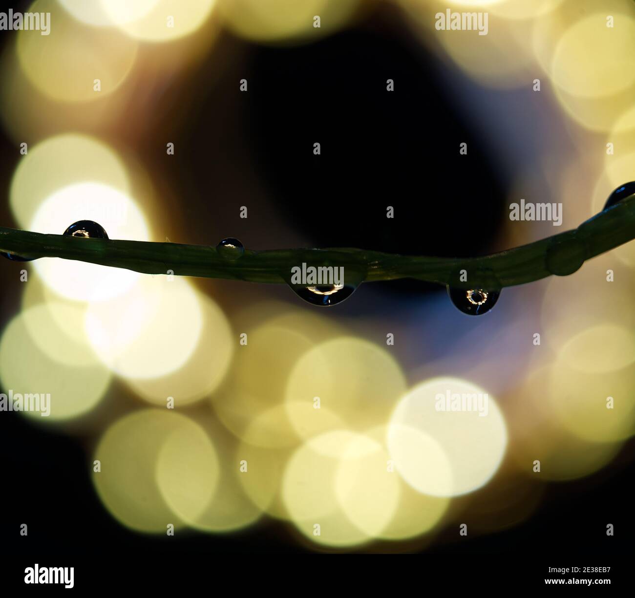 Abstract macro shots with water drops and blur bokeh Stock Photo - Alamy