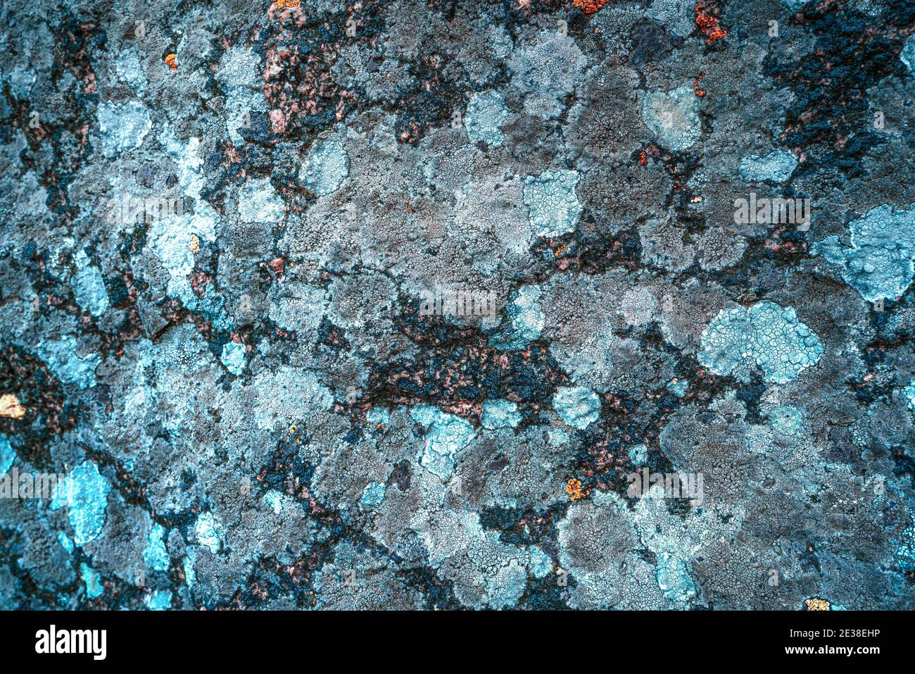 An unusual pattern of multi-colored mold on gray stone wall with moss ...