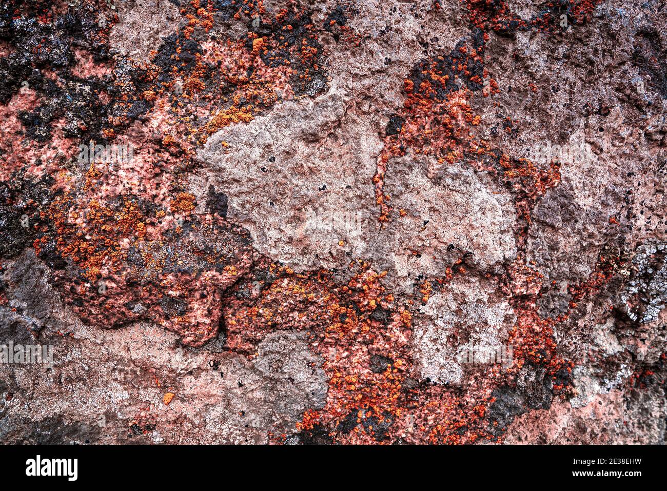An unusual pattern of multi-colored mold on gray stone wall with moss ...
