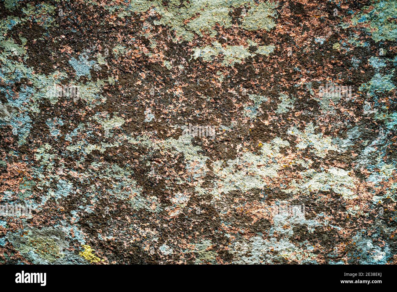 An unusual pattern of multi-colored mold on gray stone wall with moss ...