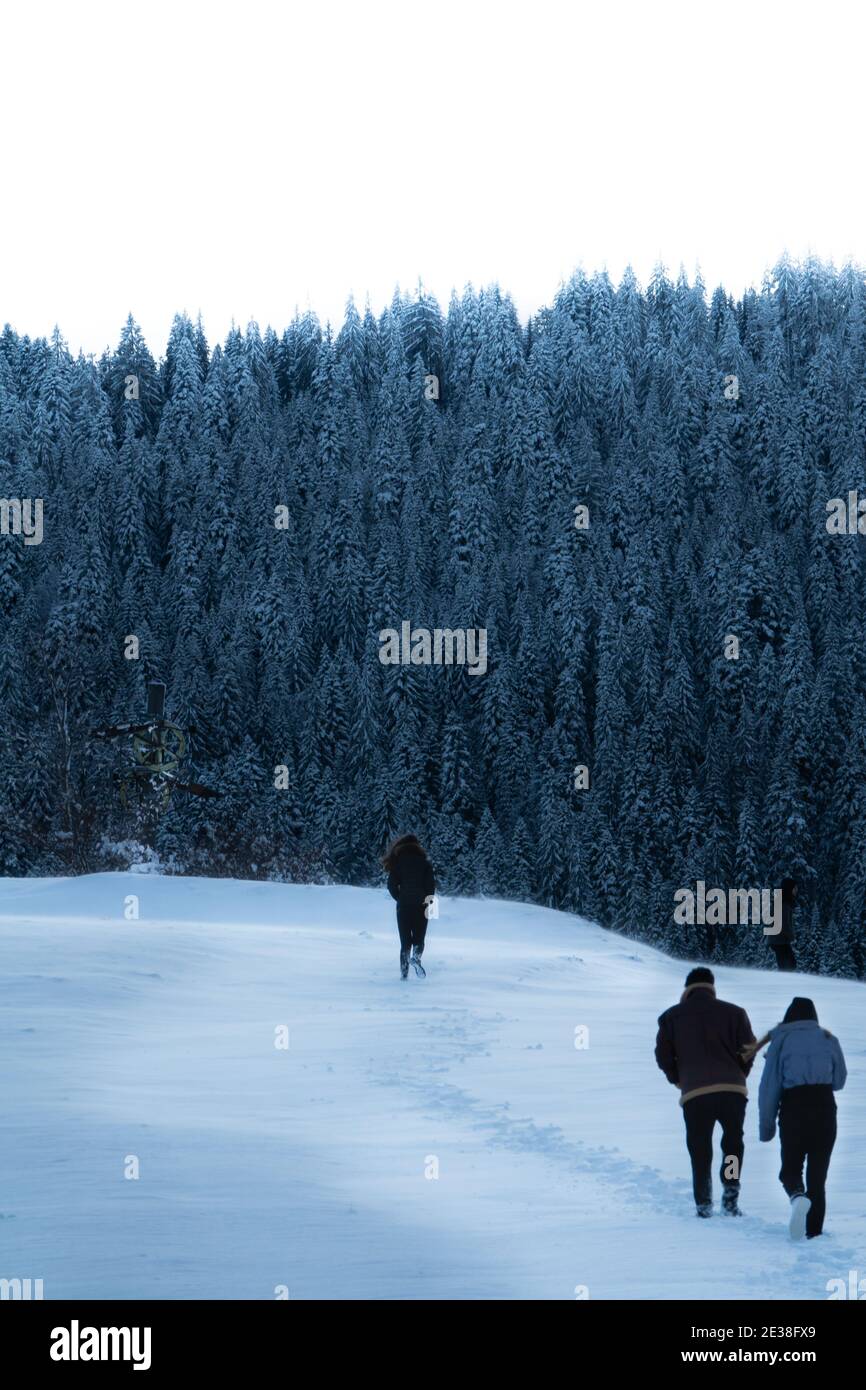 People walking trough the snow Stock Photo - Alamy