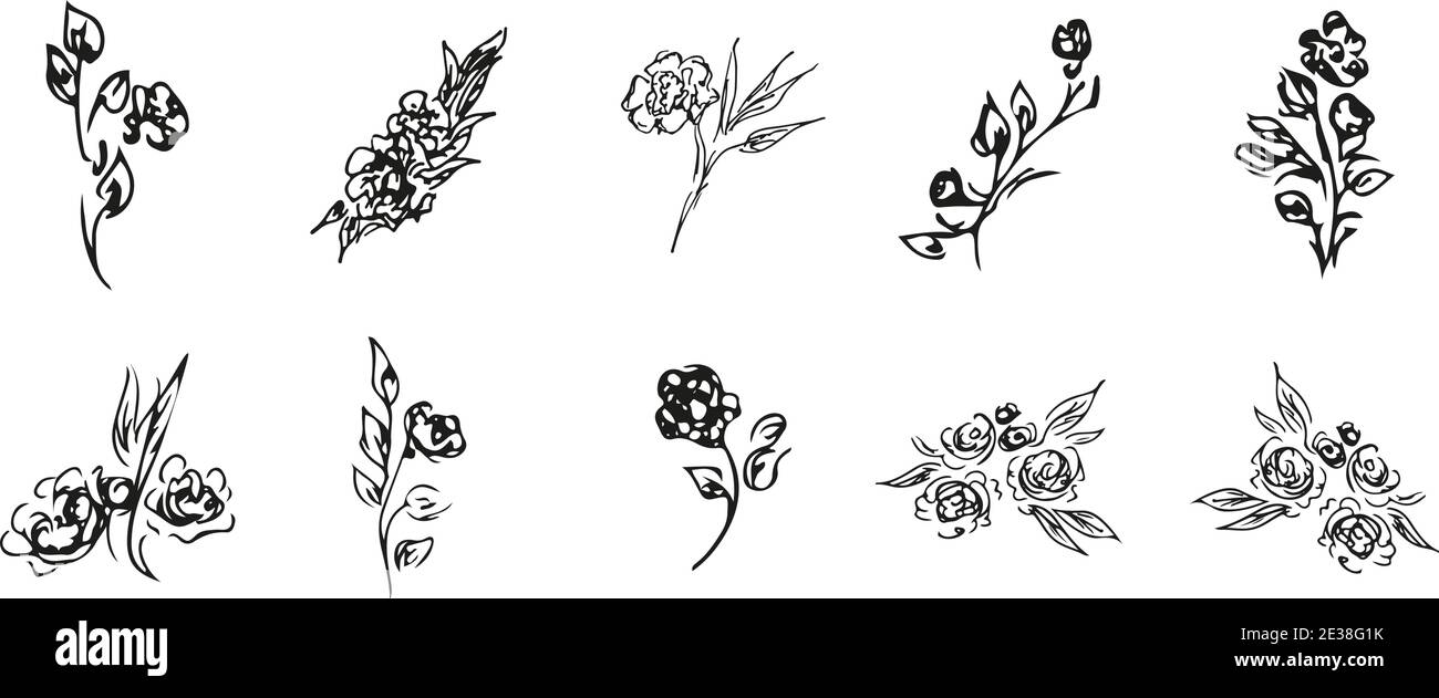 Doodle simple vector collection of 10 hand-drawn roses. Big collection ...