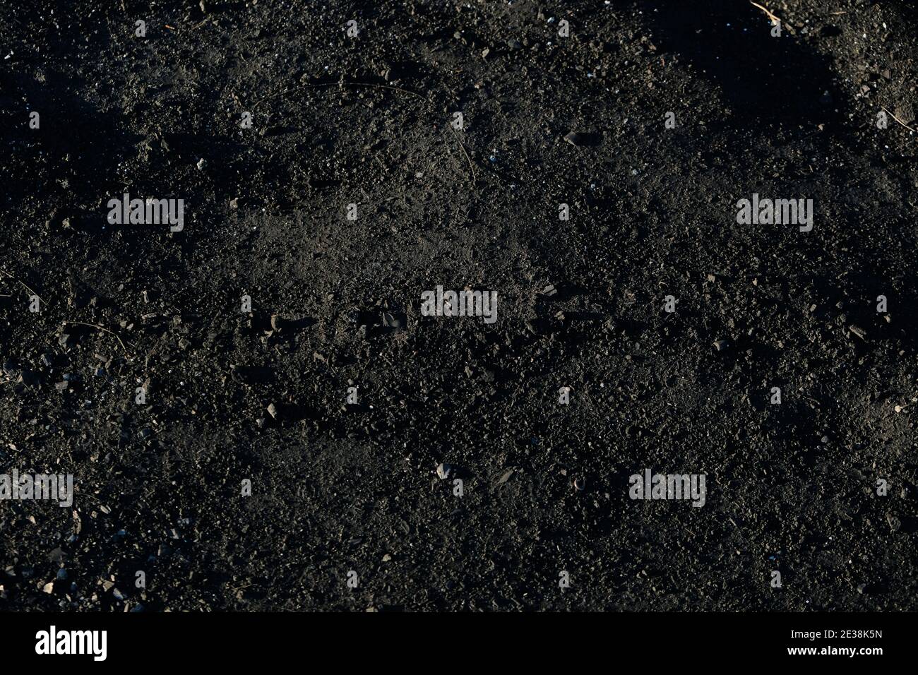 Types Of Soil Black Soil