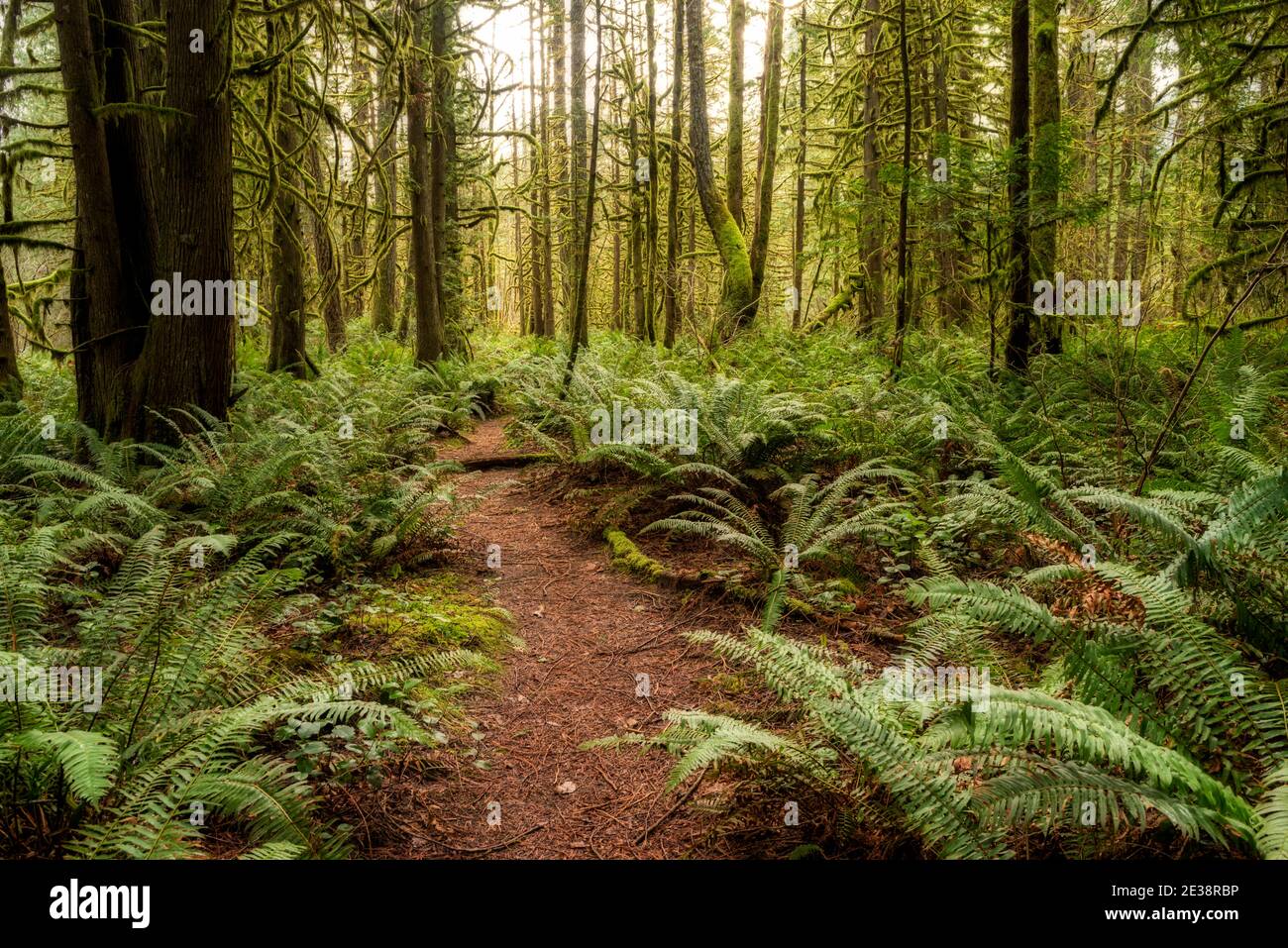 Barlow road hi-res stock photography and images - Alamy