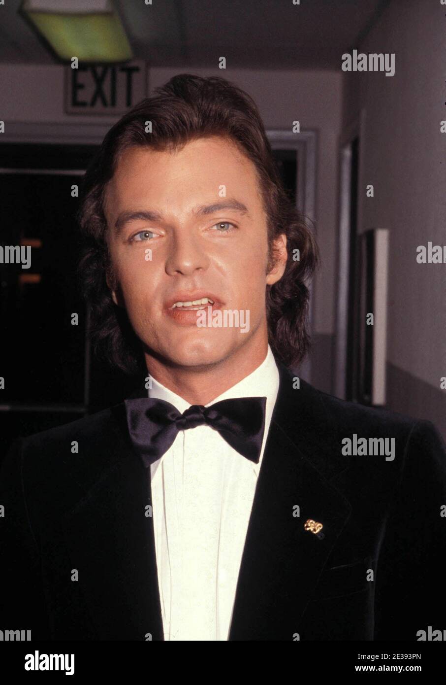 Edward Albert 1979 Credit: Ralph Dominguez/MediaPunch Stock Photo - Alamy