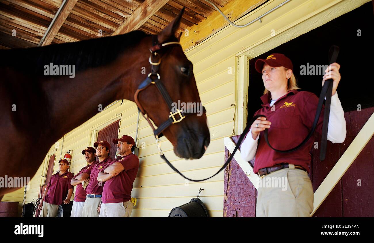 Atmosphere at the Walnut Hall Farm in Lexington, Kentuky, USA on ...