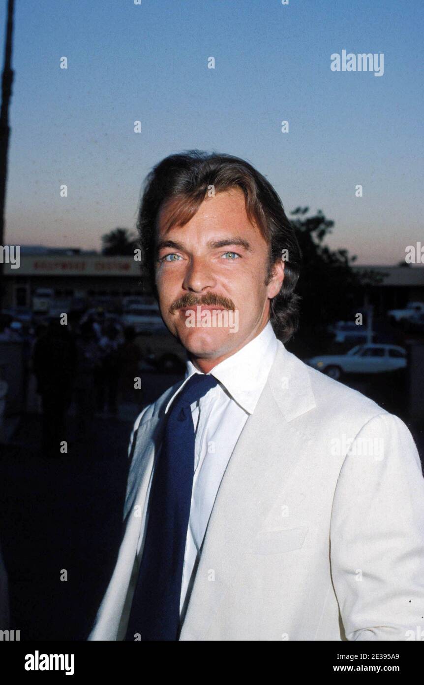 Edward Albert 1981 Credit: Ralph Dominguez/MediaPunch Stock Photo - Alamy