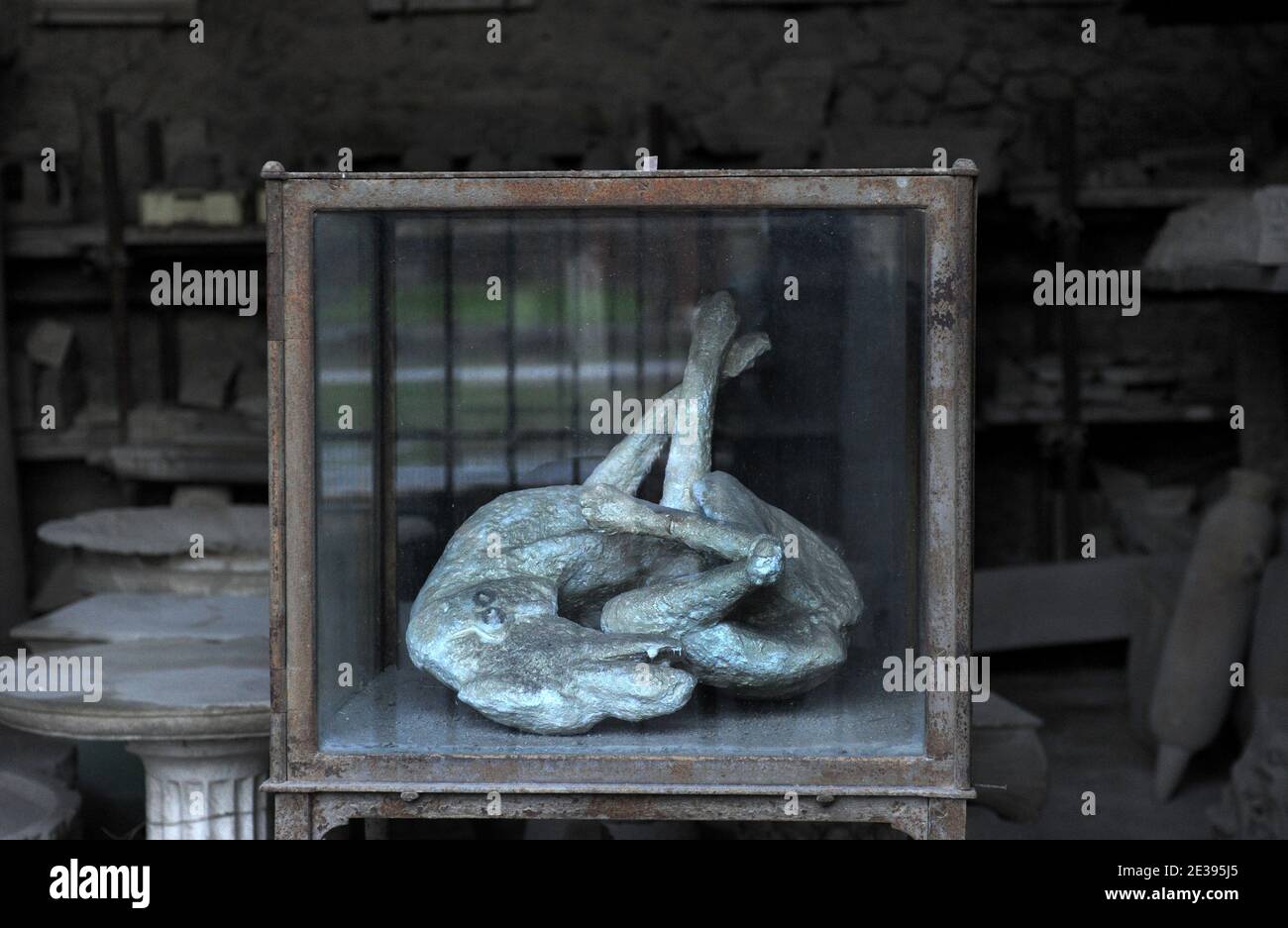 Plaster cast dog from hi-res stock photography and images - Alamy