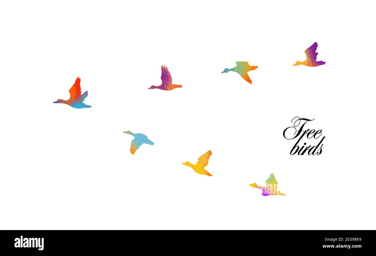 Bird watercolor. A ducks flying south. Mixed media. Vector illustration ...