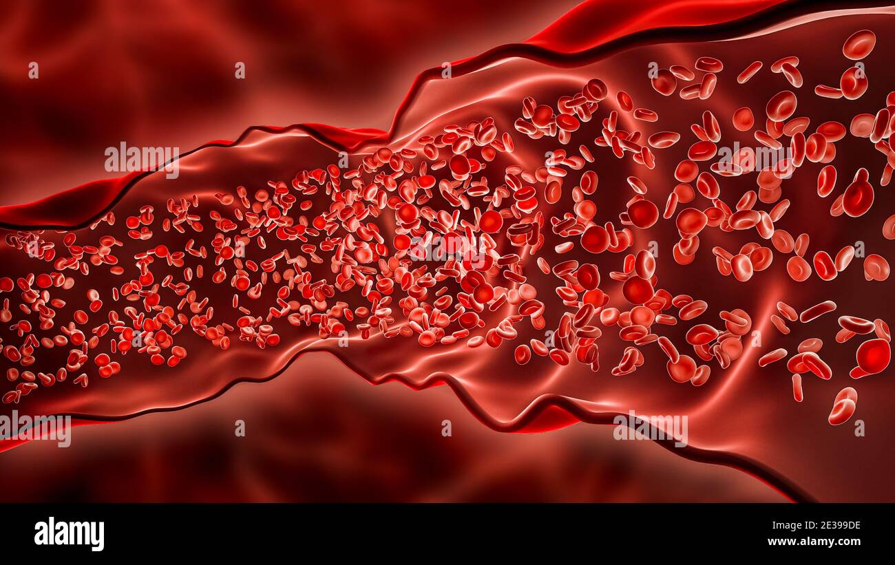 Blood Vessel With Blood Cells High Resolution Stock Photography and ...