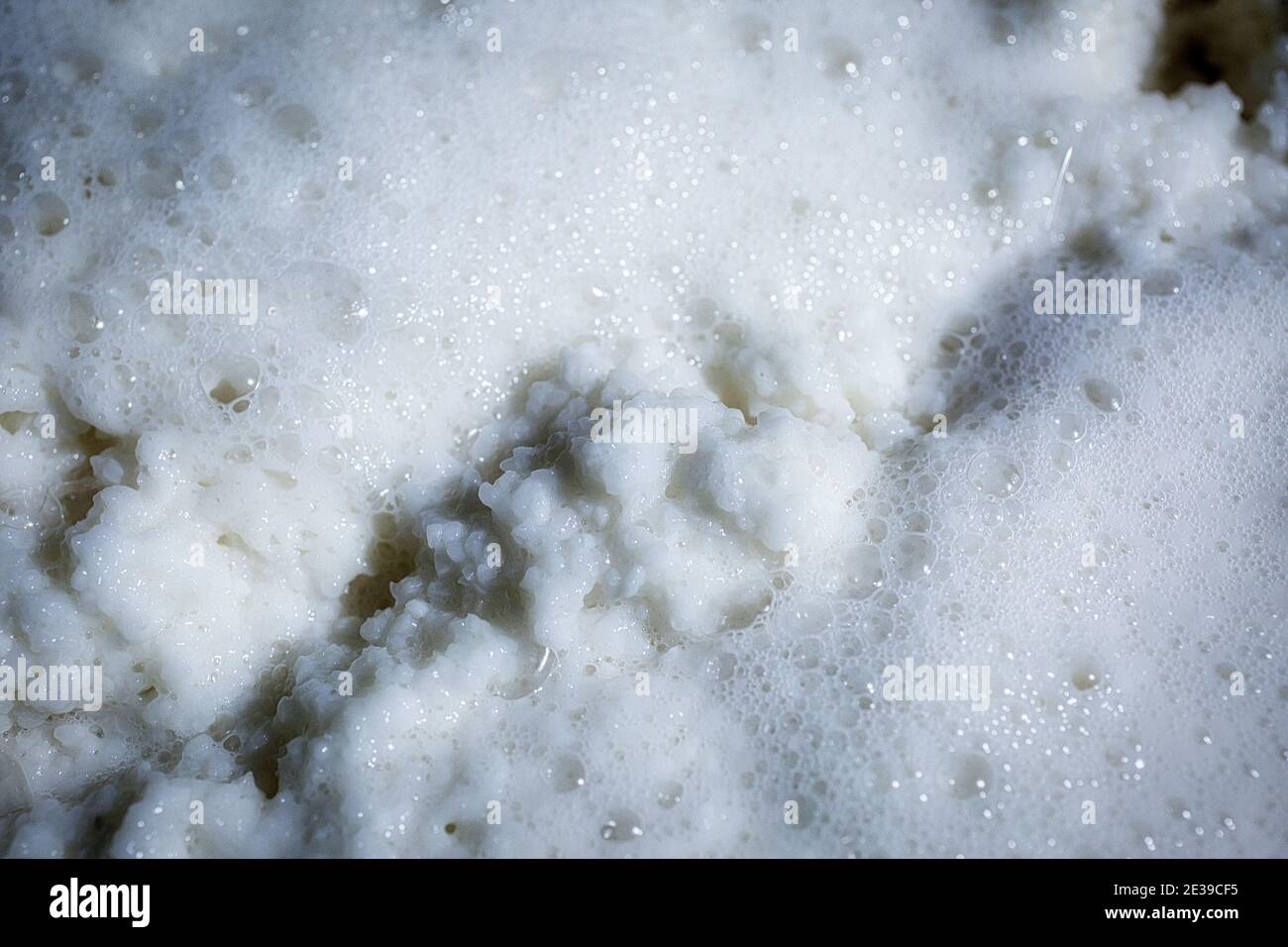 Producing Japanese sake, sake fermentation Stock Photo - Alamy