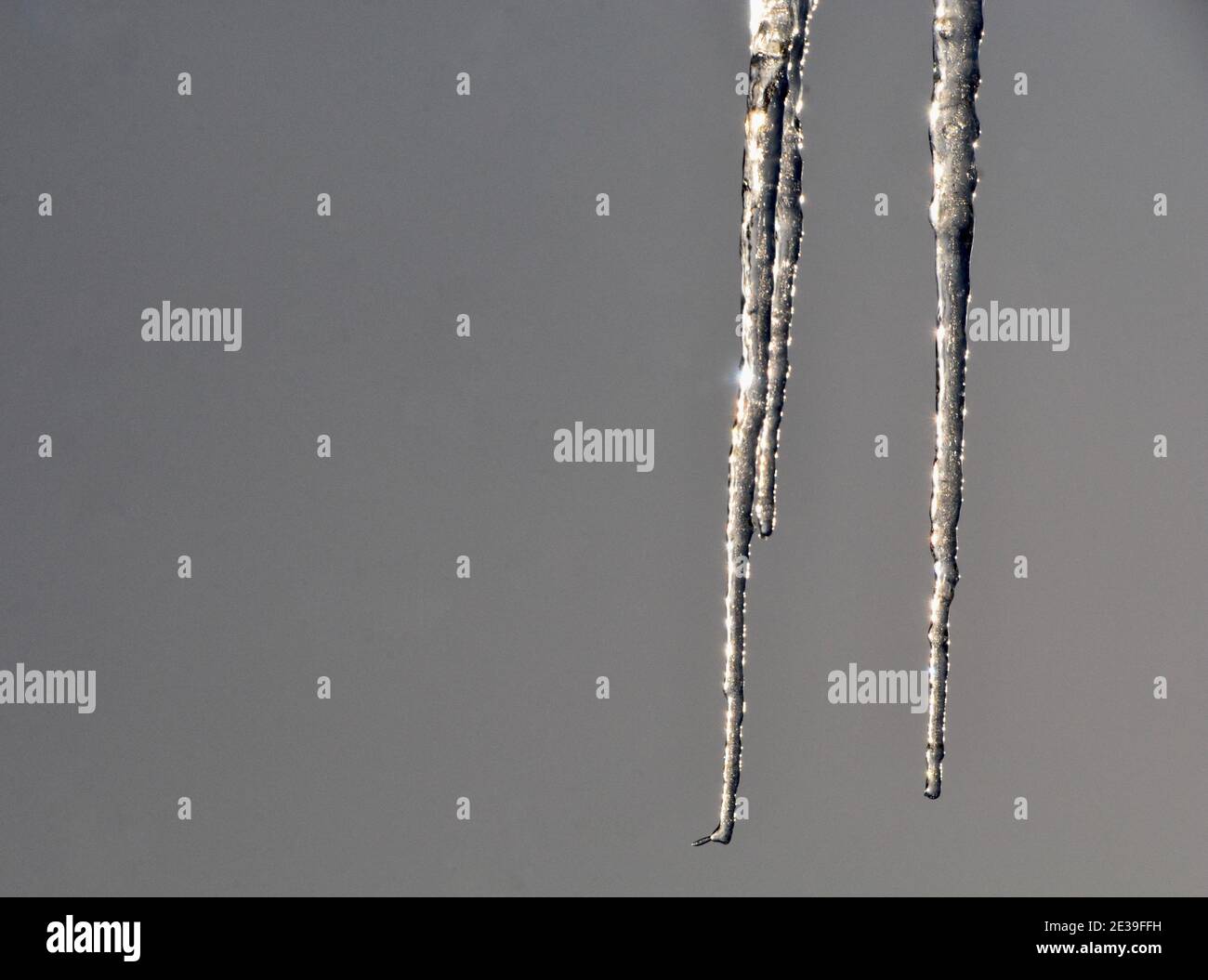 Beautiful frozen nature freezing weather hi-res stock photography and ...