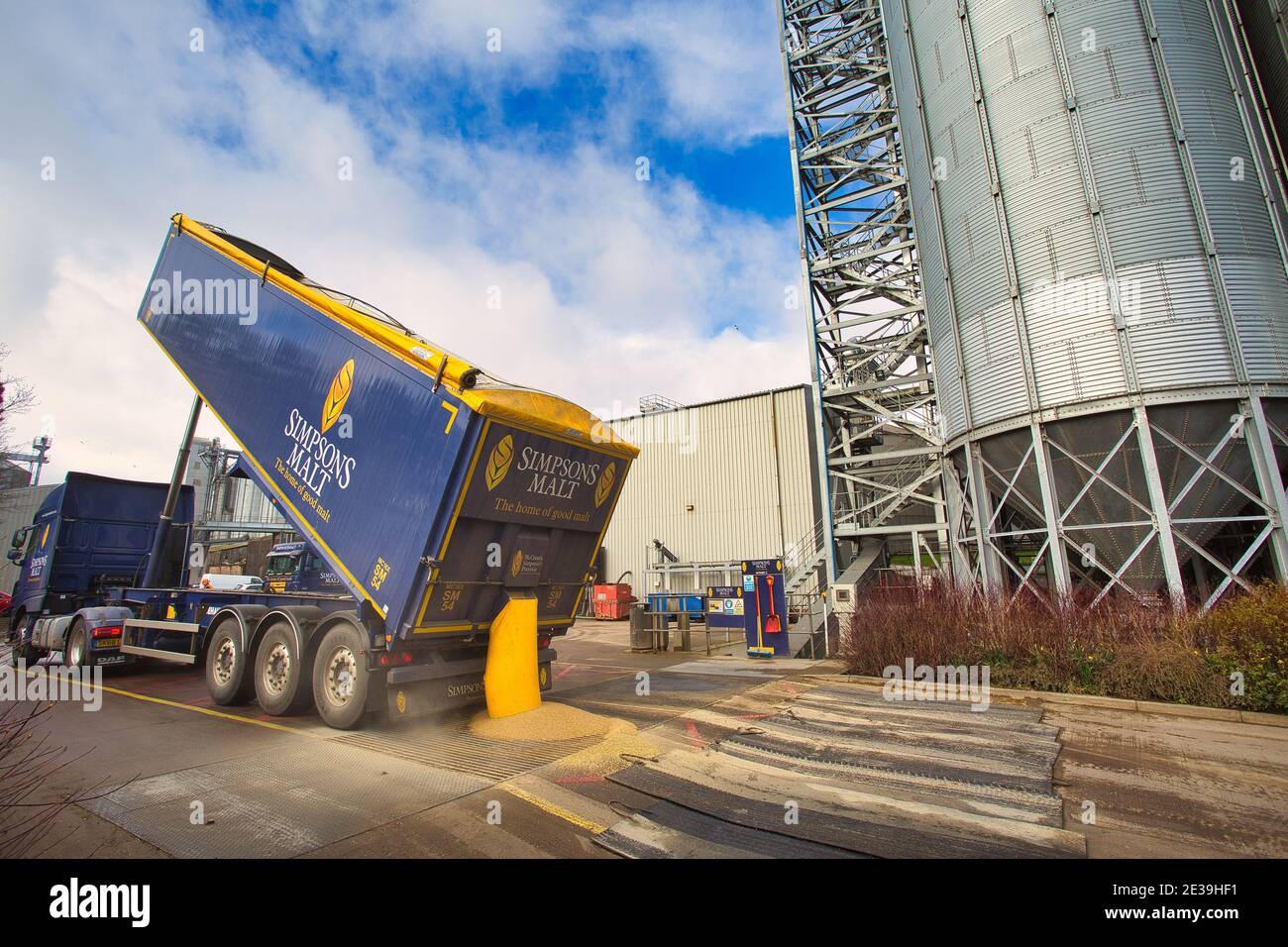 Barley arrives via a lorry at Simpsons Malt Limited, Berwick-Upon-Tweed ...