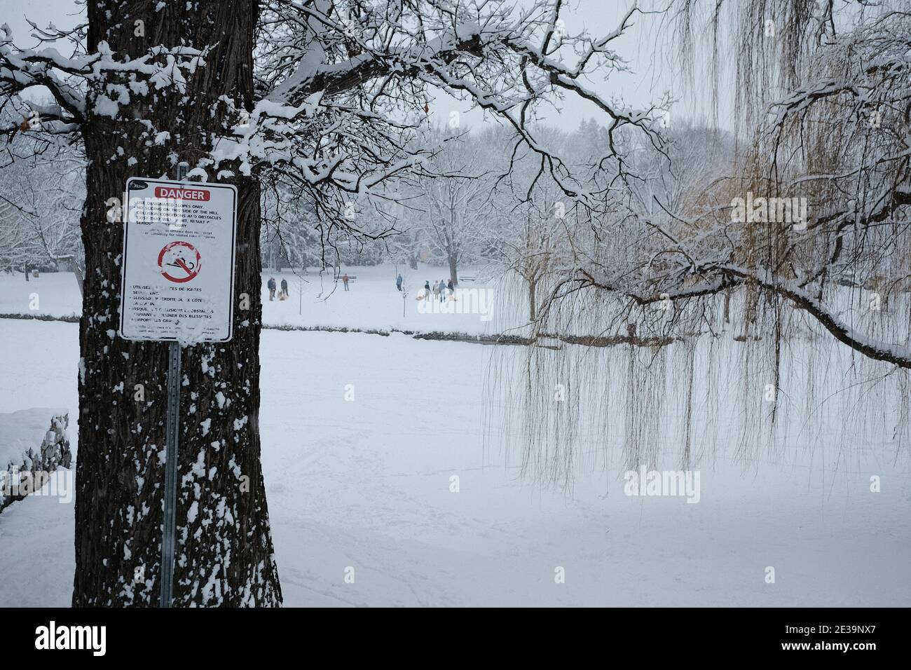 City of Ottawa danger sign on a snowy tree at the (little kids ...