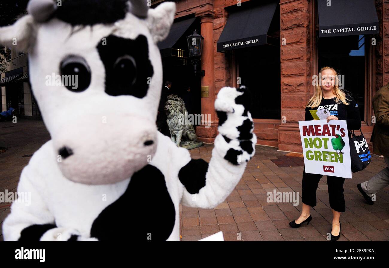 People for the Ethical Treatment of Animals (PETA) holds a protest in ...