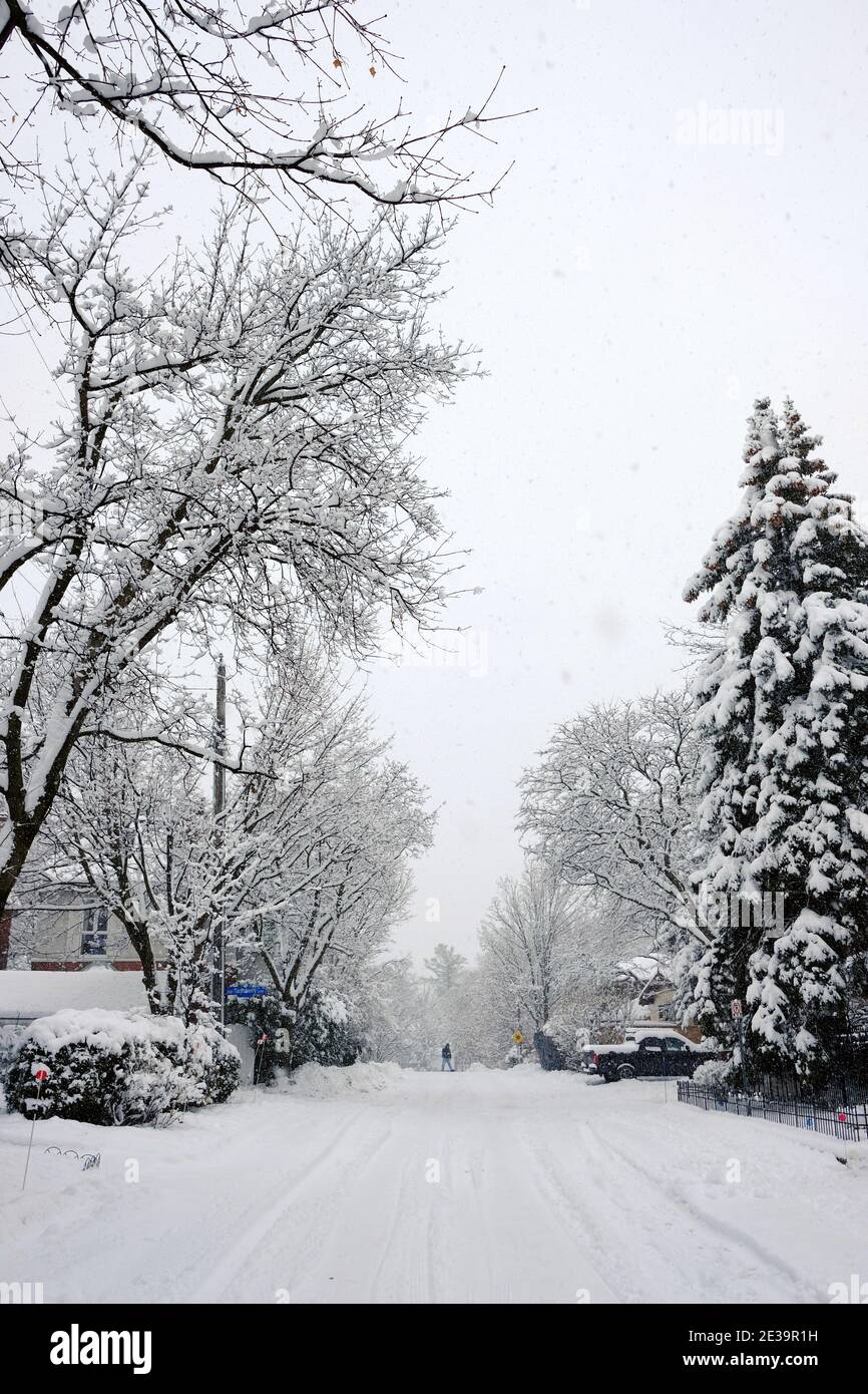 Snowy Ottawa! Scenes from around Ottawa after a fresh dumping of 25cm ...