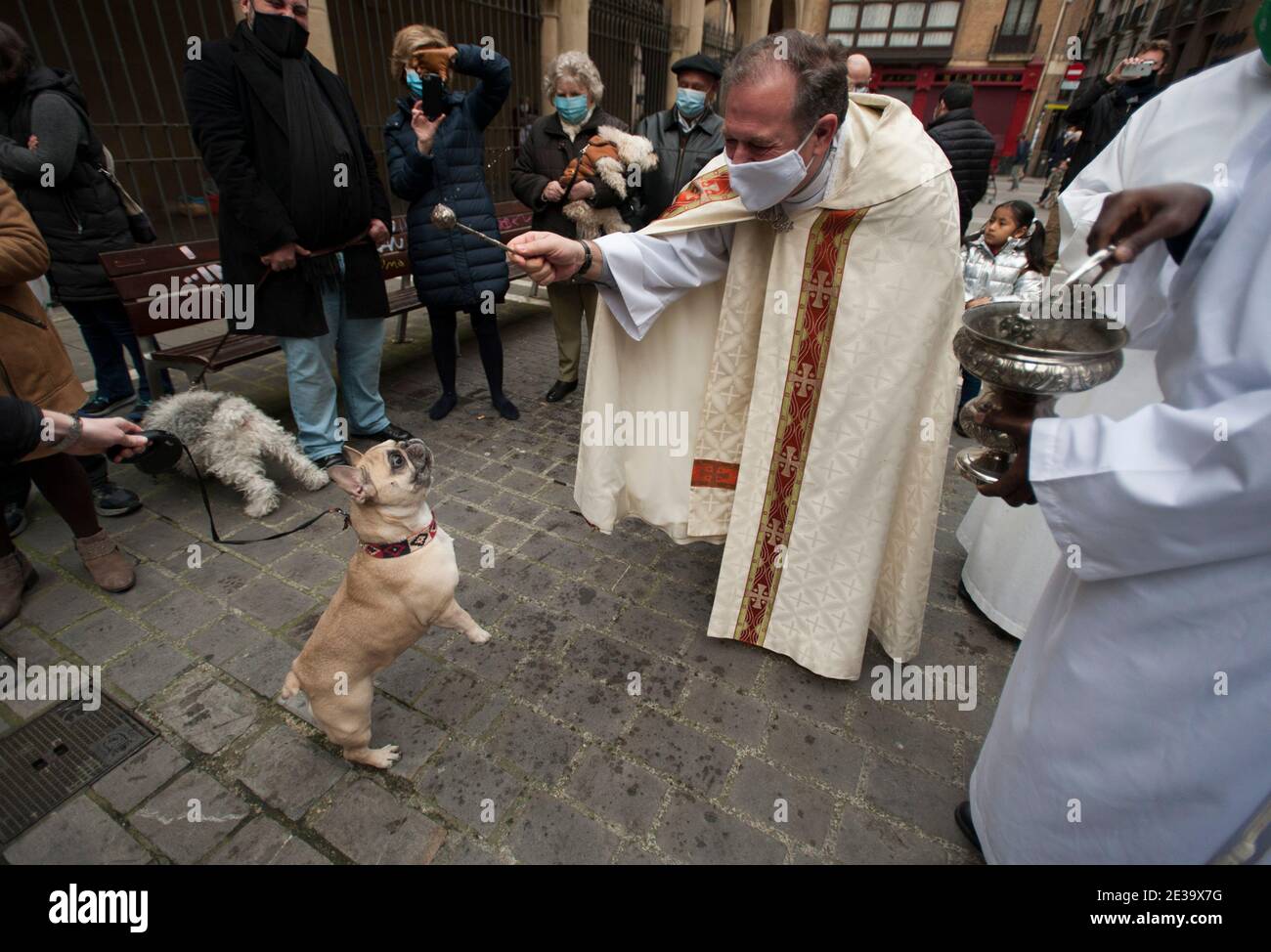 A French bull dog seen blessed by the priest of the church of San ...