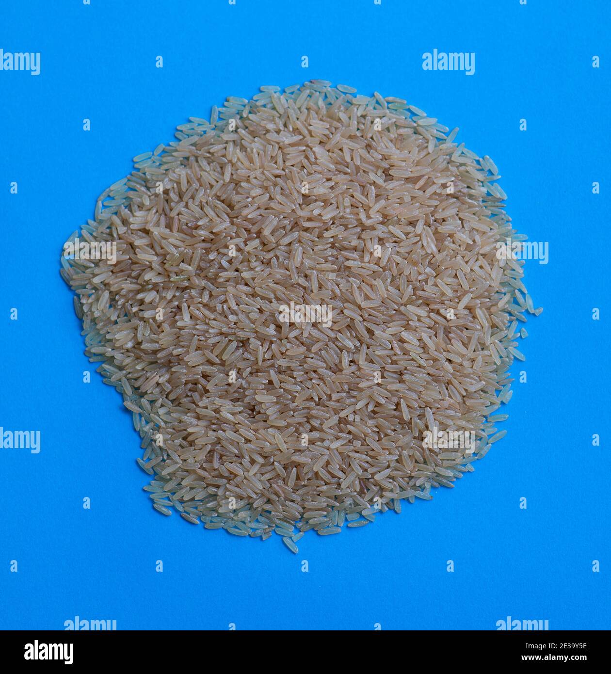Raw brown uncleaned long rice on a blue background Stock Photo - Alamy
