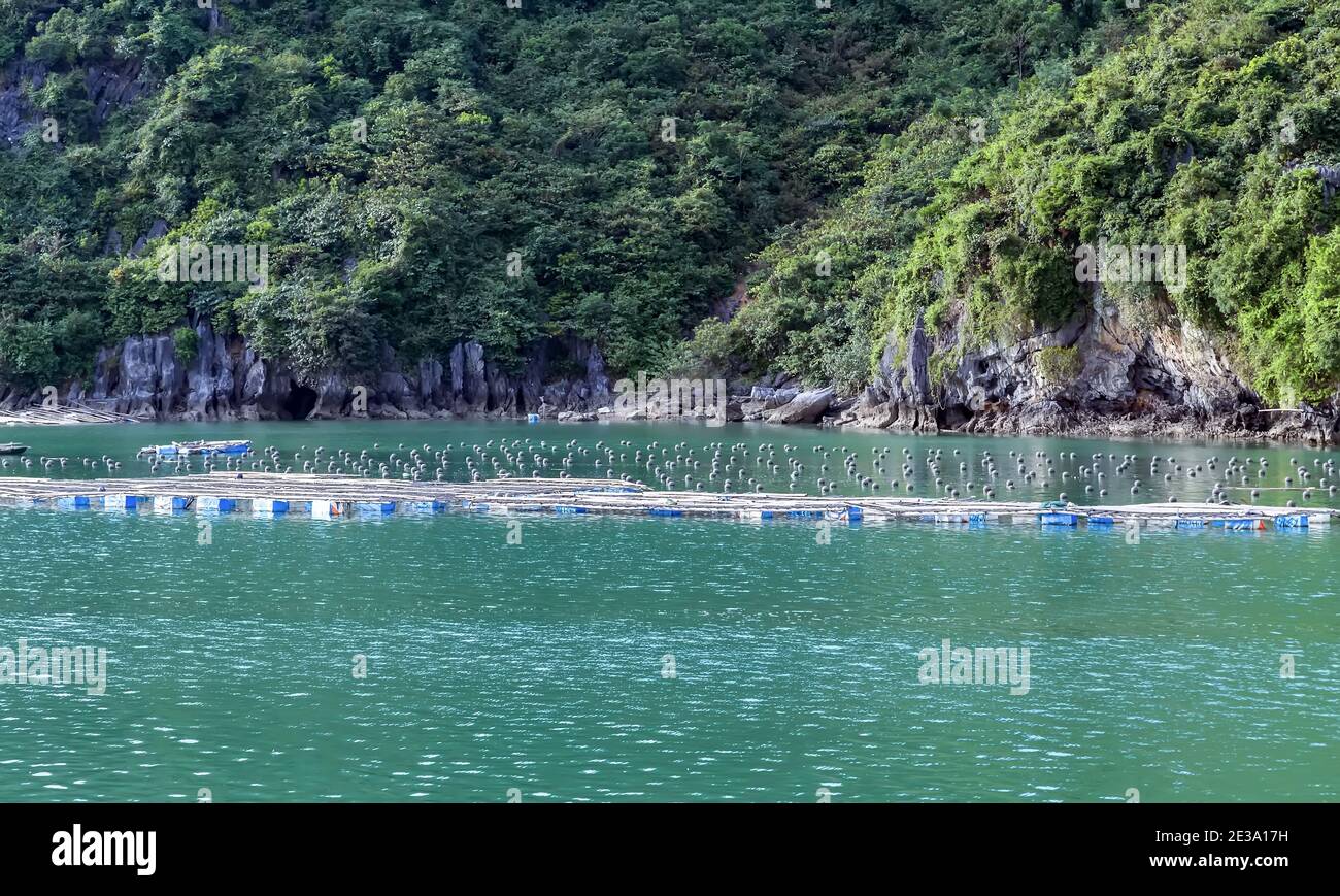 mountain limestone islands landscape in Ha Long Bay, Vietnam Stock ...
